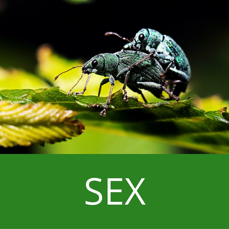 How To Take Your Relationship To The Next Physical Level In English Airc183